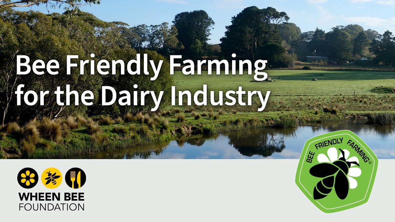 Bee Friendly Farming for the Dairy Industry - YouTube
