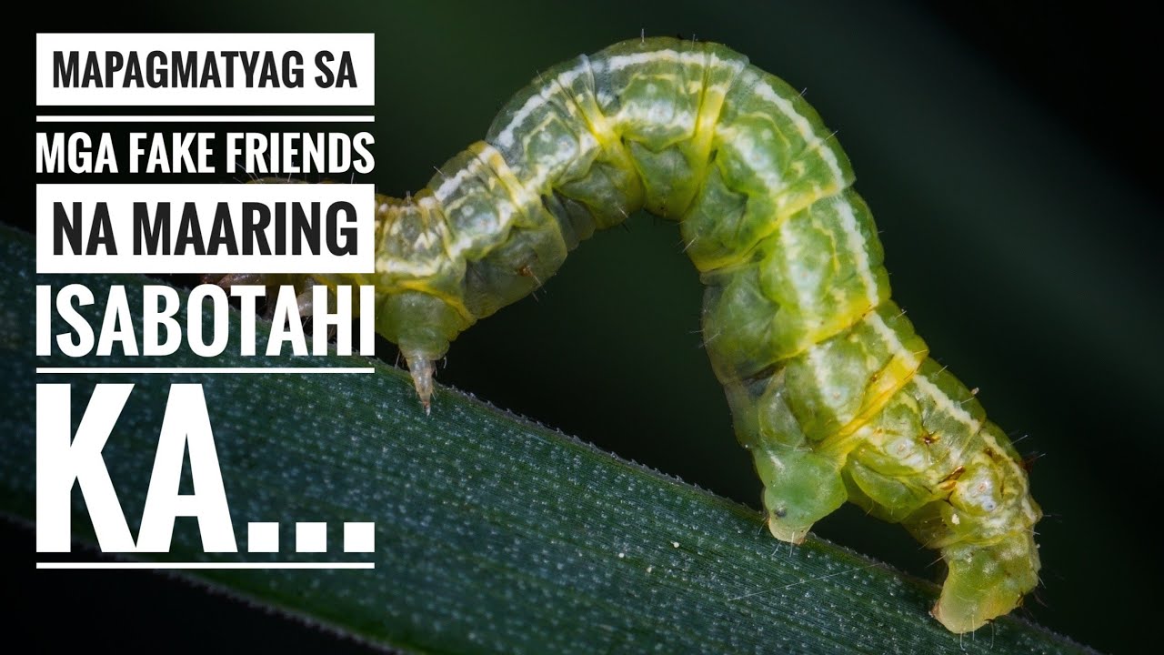 🔴 iTo Pala kAhulugan tUngKOl sa UOD sa PAnaginiP - YouTube