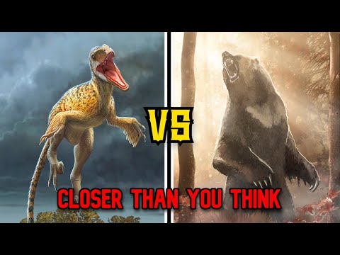 Utahraptor Vs Grizzly Bear | Closer Than You Think