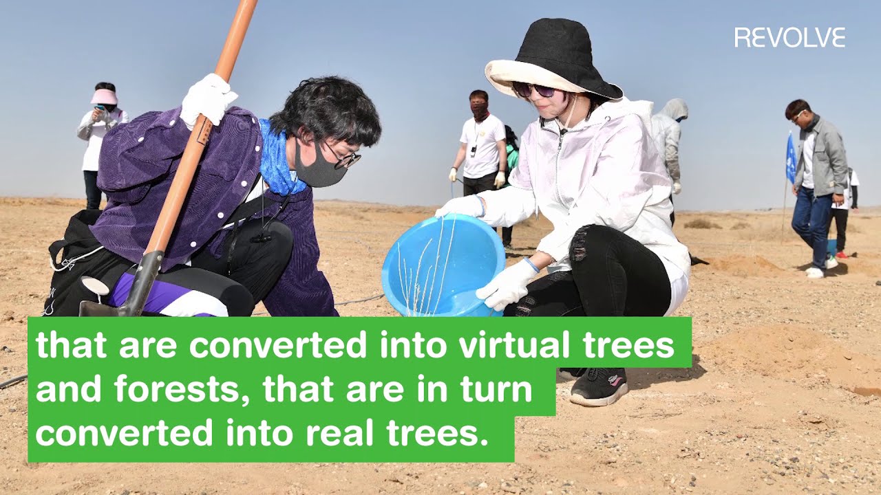 REVOLVE How Ant Forest plants trees for sustainable behavior - YouTube