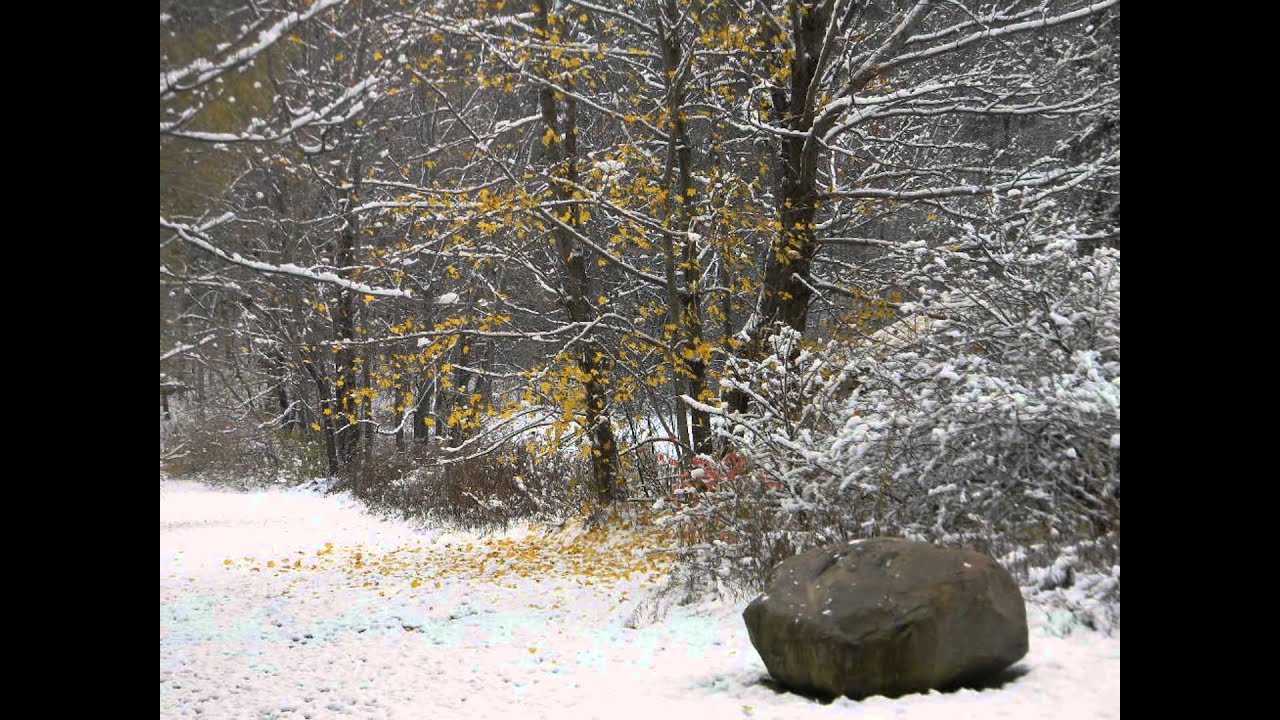 FirstSnowfallVideo - YouTube