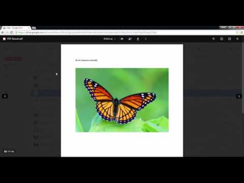 008 Dosya ve Klasör Yükleme
