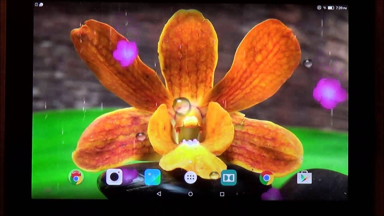 Zen live wallpaper for Android phones and tablets - YouTube