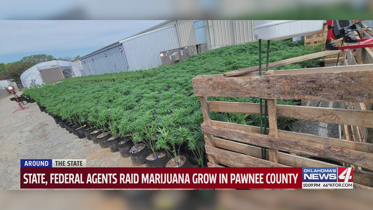 State, federal agents raid marijuana grow in Pawnee County - YouTube