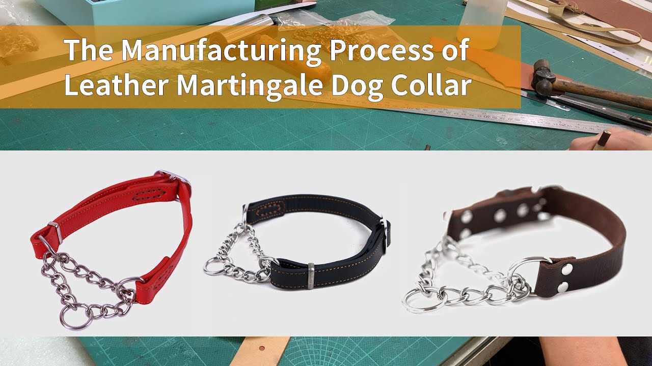 Manufacturing Process of Leather Martingale Dog Collar - YouTube