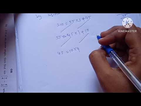 TN-10th Maths-Chapter:2-Example:2.4 - YouTube