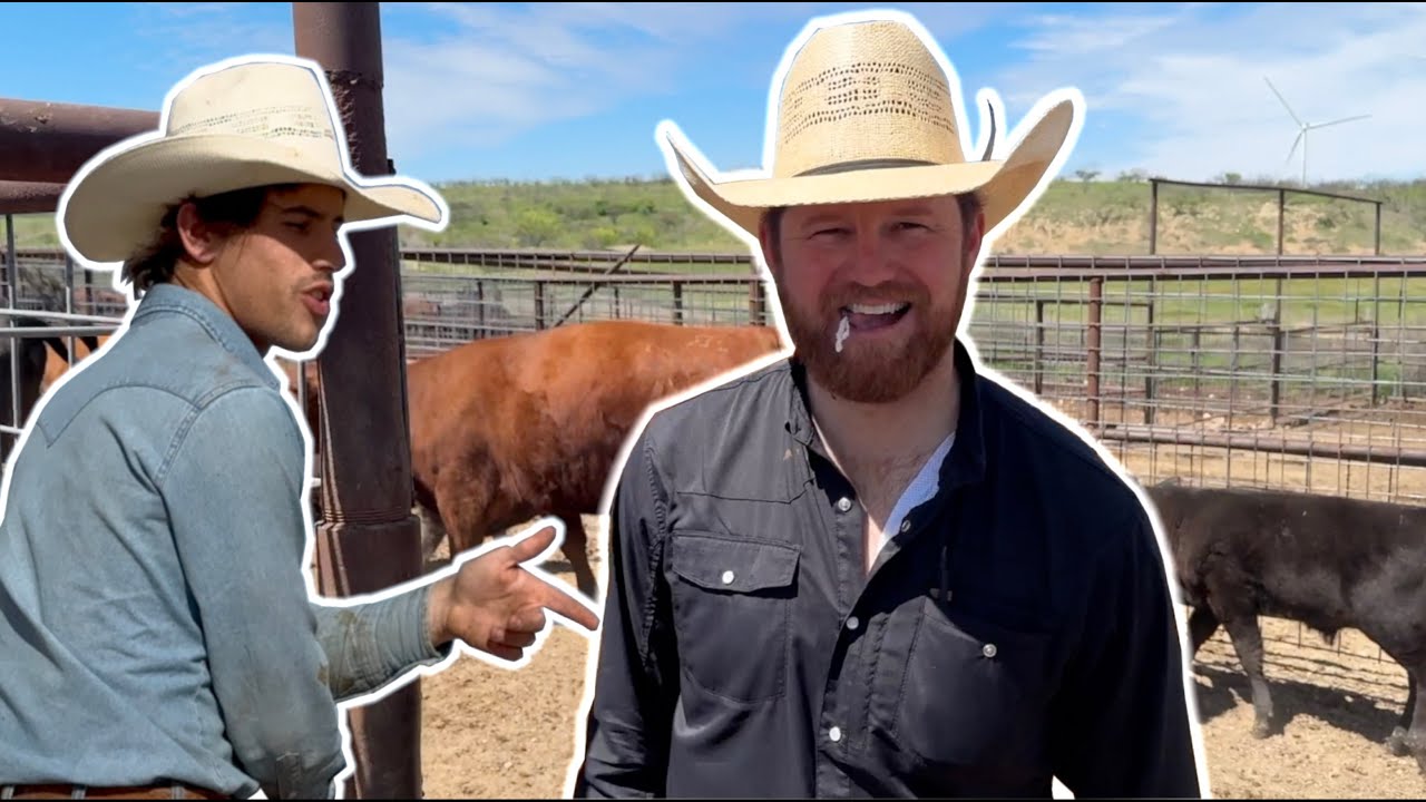 R. A. Brown Ranch spring works - YouTube