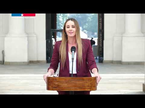 Ministra Mara Sedini condena ataque a la ministra de Ciencia, Ximena Lincolao