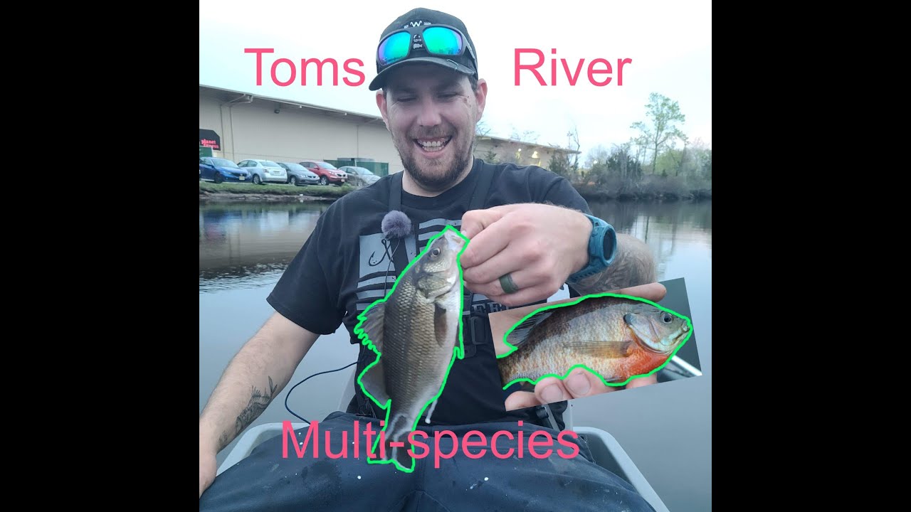 Fishing Toms River for multi species - YouTube