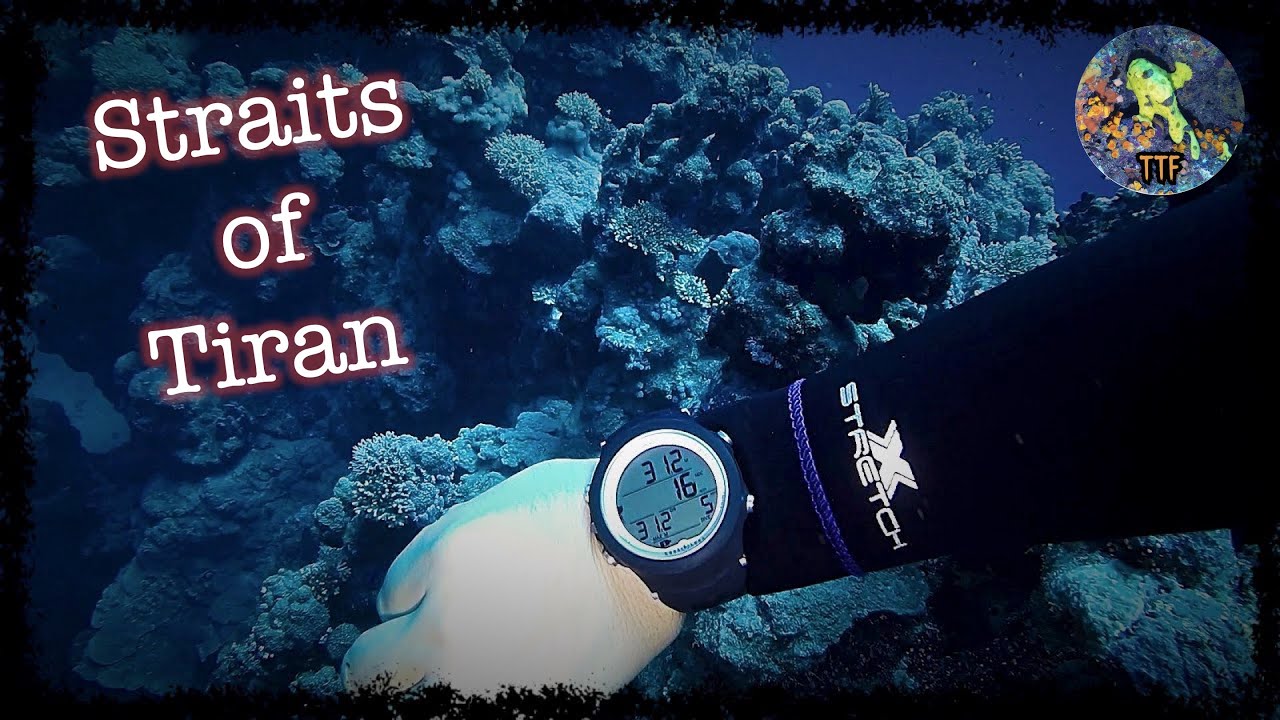 Red Sea, Straits of Tiran - Egypt - YouTube