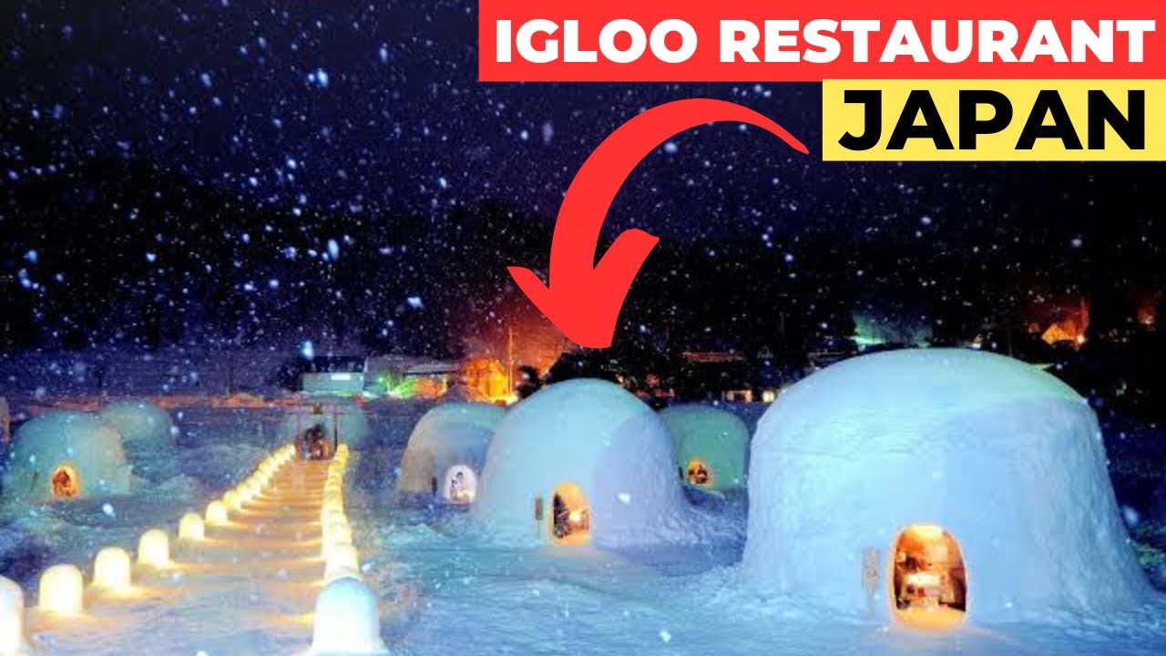 This magical igloo restaurant in Japan is like something from a fairy ...