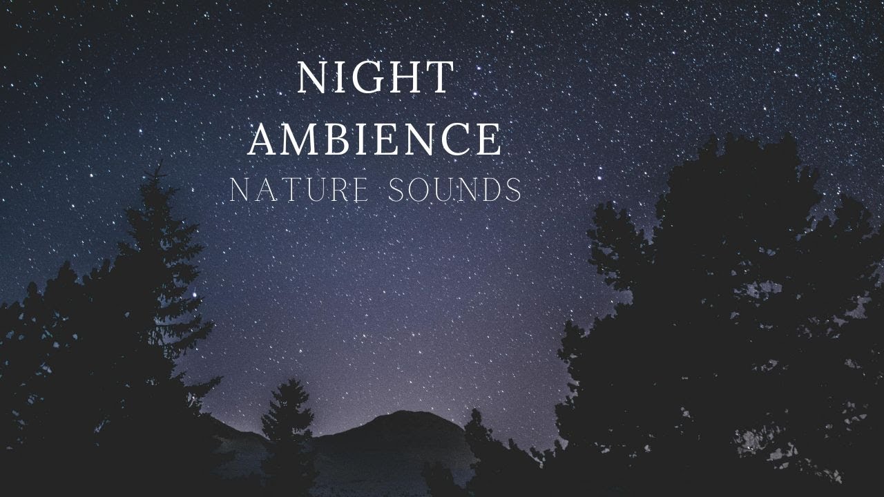 Night Ambience | Nature Sounds | Sleep Sounds | Black Screen | Soft ...