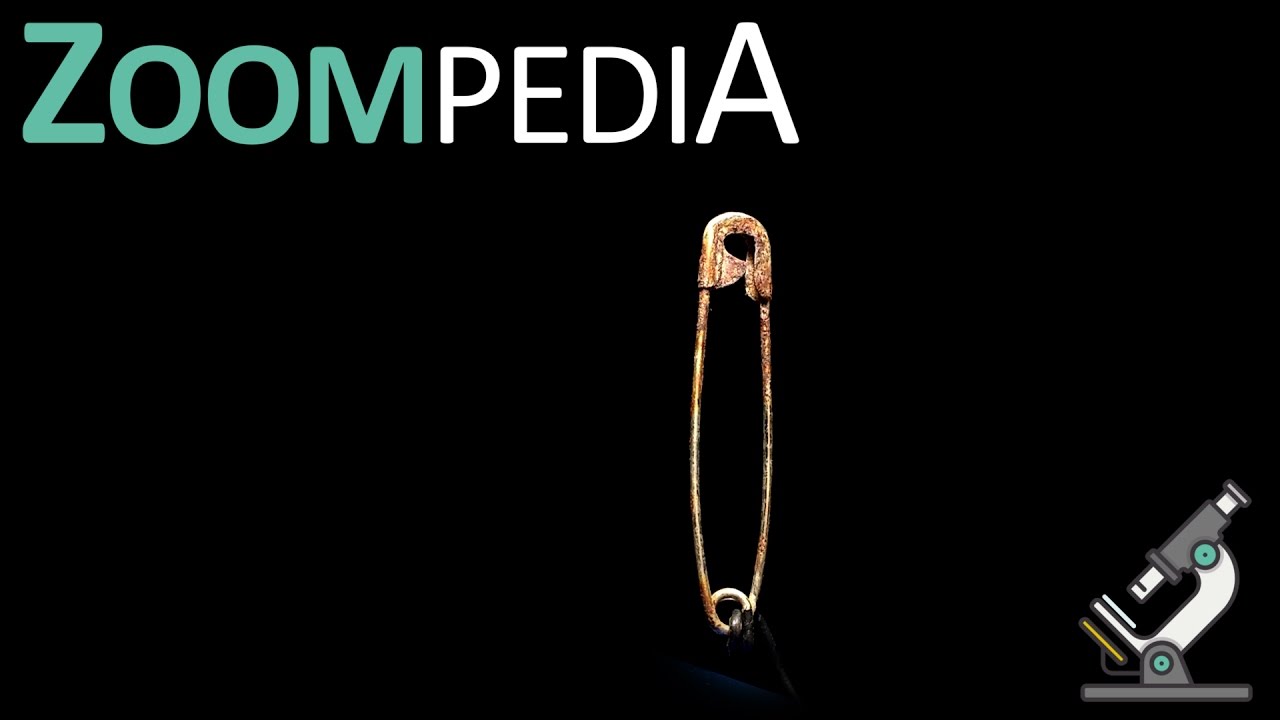 Safety pin under the microscope - Zoompedia - YouTube