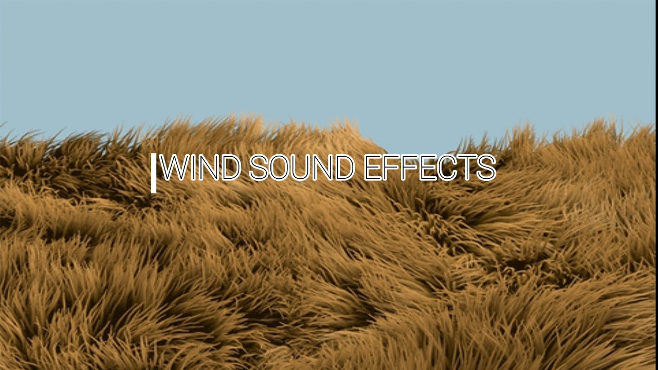 WIND SOUND EFFECTS, Wind Breeze, Wind Howl, Wind Gust, Wind Strong ...