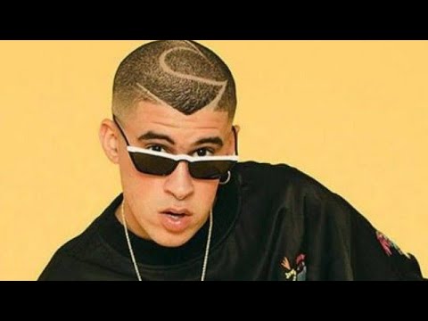 "Bab bonny" se encuentra en recuperación luego de operarse de ...