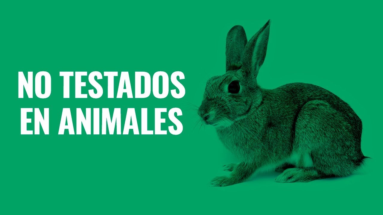 Cosméticos que NO testan en animales | DosFarma - YouTube
