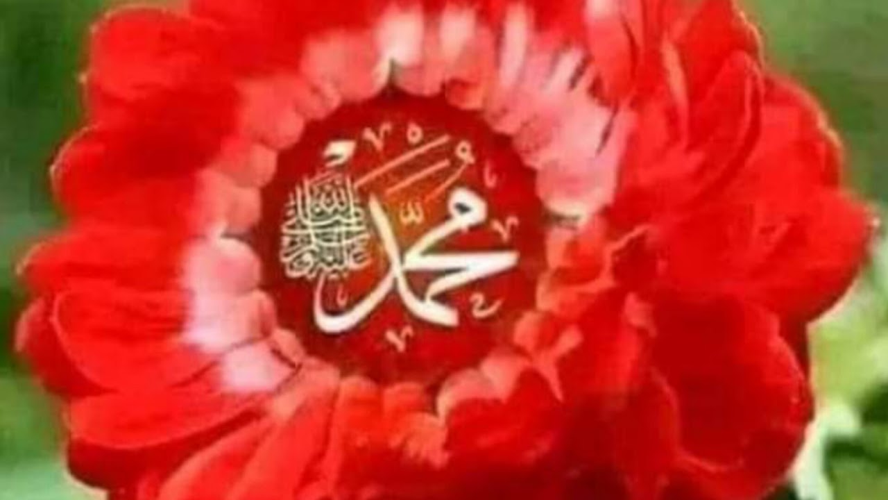 Islamic informationislamic information,islamic lectures,information ...