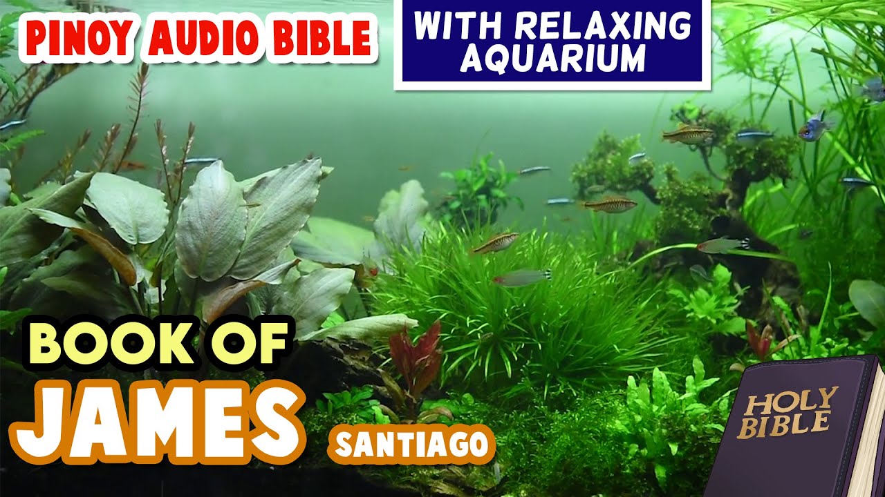 Book of James -Tagalog audio bible - YouTube