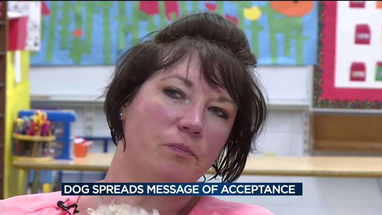 Dog spreads message of acceptance - YouTube