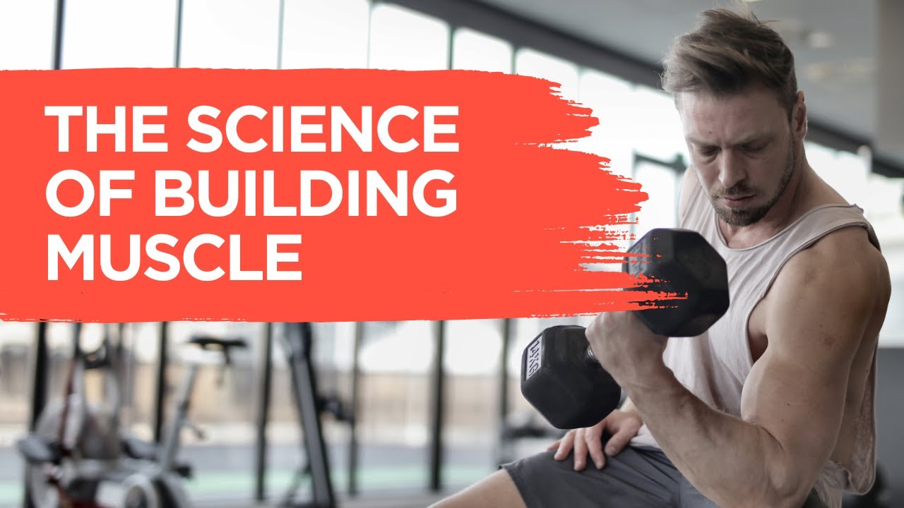 The Science of Building Muscle - YouTube