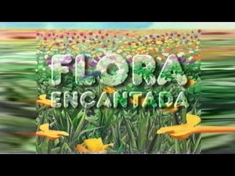 FLORA ENCANTADA - CHAMADA ESTREIA 1999