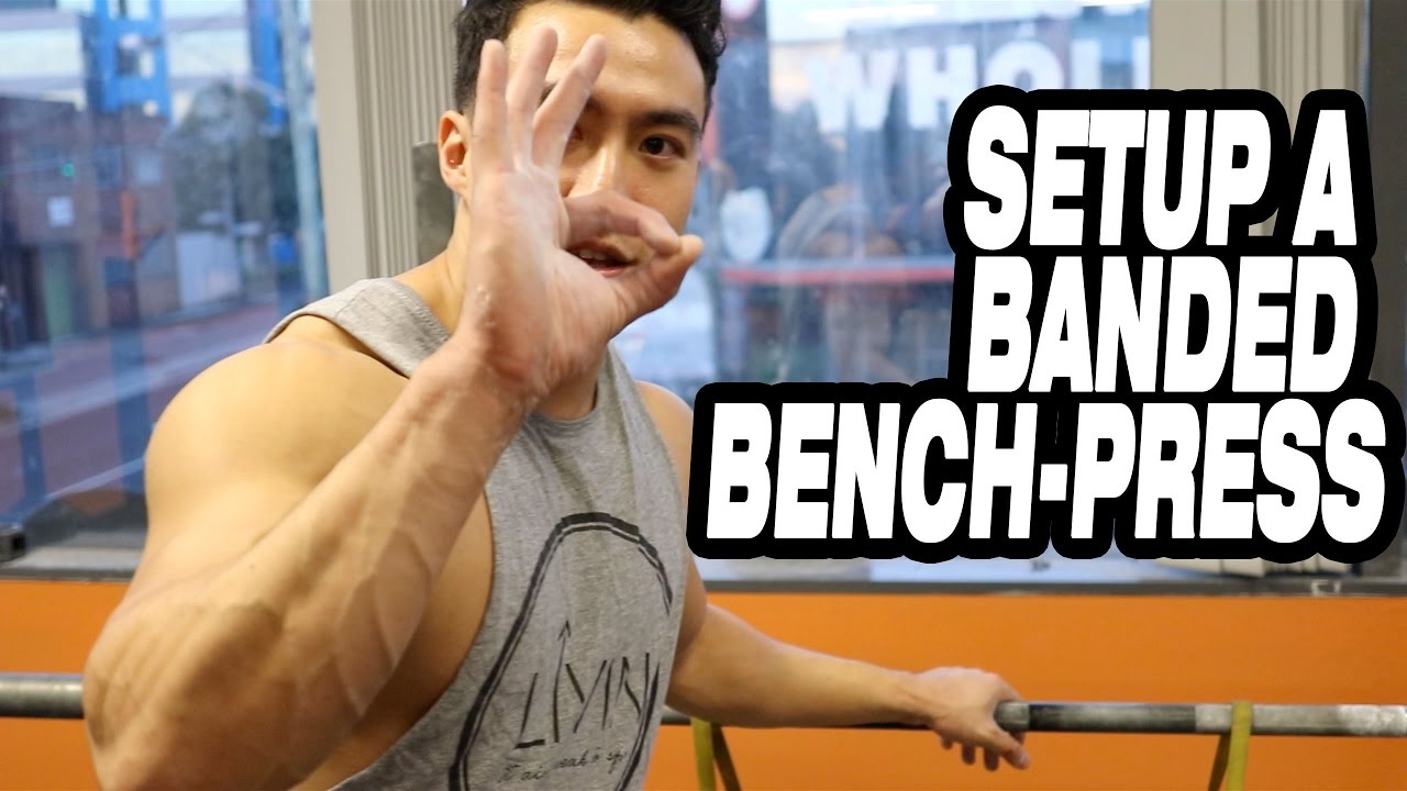 Setting up for chest brah gains - YouTube