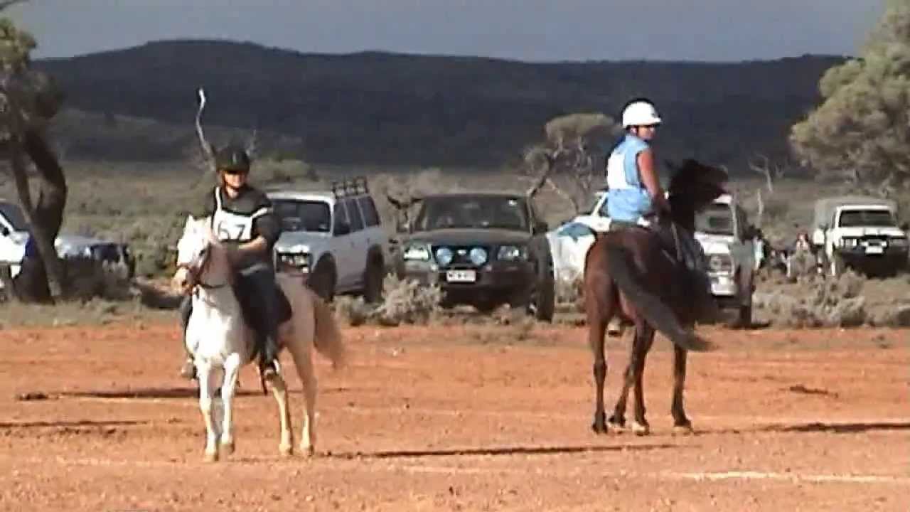 Nonning Gymkhana 2011 - YouTube
