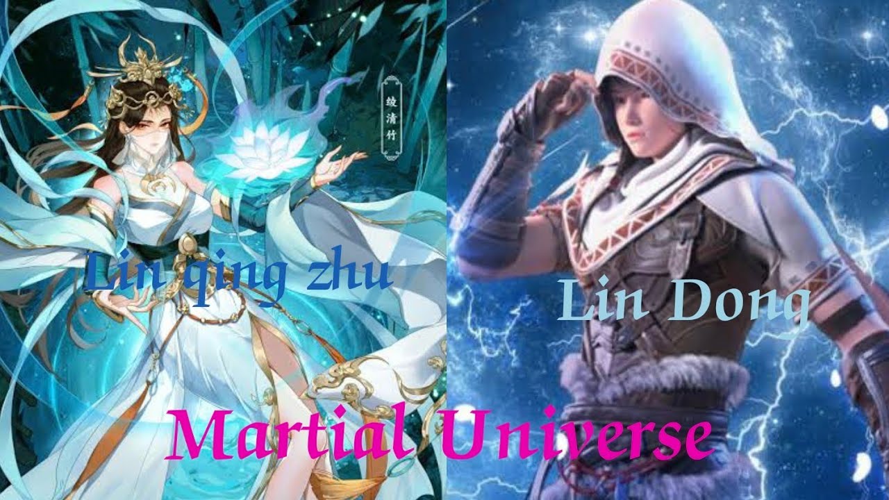 Martial Universe lin Dong fight 🔥⚔️ scenes #anime #donghua #lindong ...