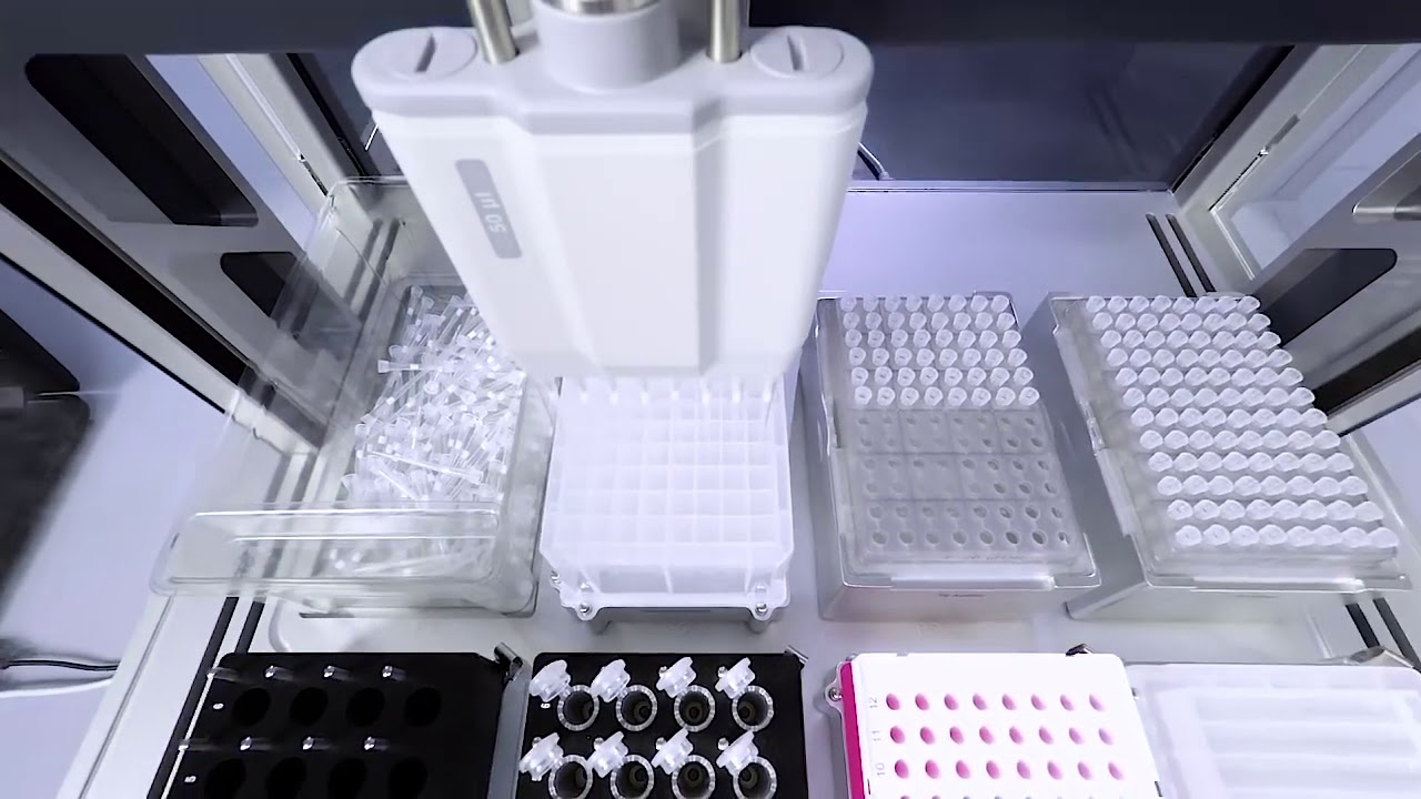 01012000 THOUSILLION DECKER GIGGOL GAGGOL FOLKMANS GRAHAL GEEGOL ...