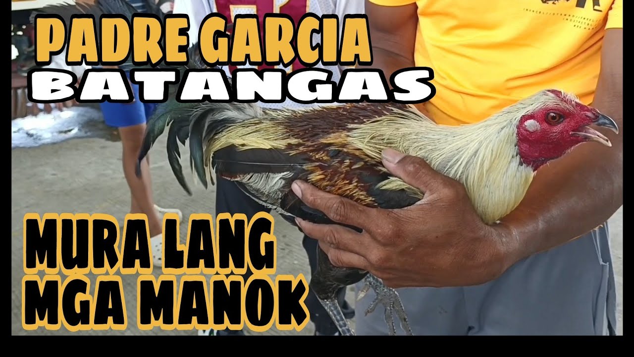 PART 1 PADRE GARCIA BATANGAS LIVESTOCK AUCTION MARKET DAMING MGA MURANG ...