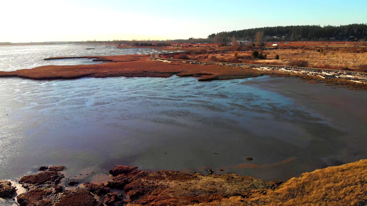 Mud Bay Park - YouTube