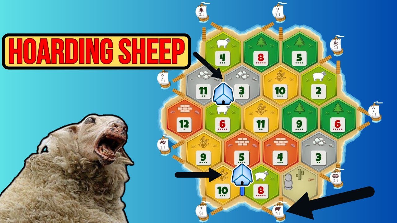 The Mad Sheep Strategy in Catan Ranked - YouTube