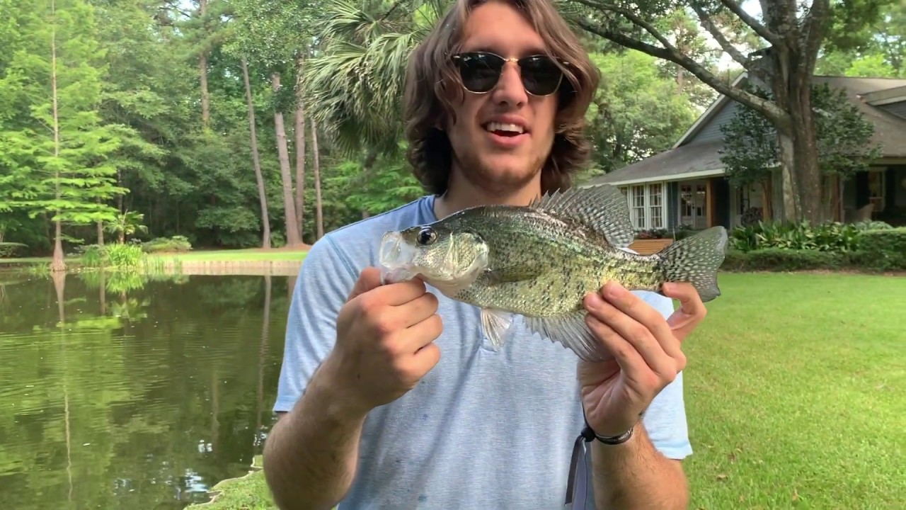 Crappie pond ( 8 fish caught ) - YouTube