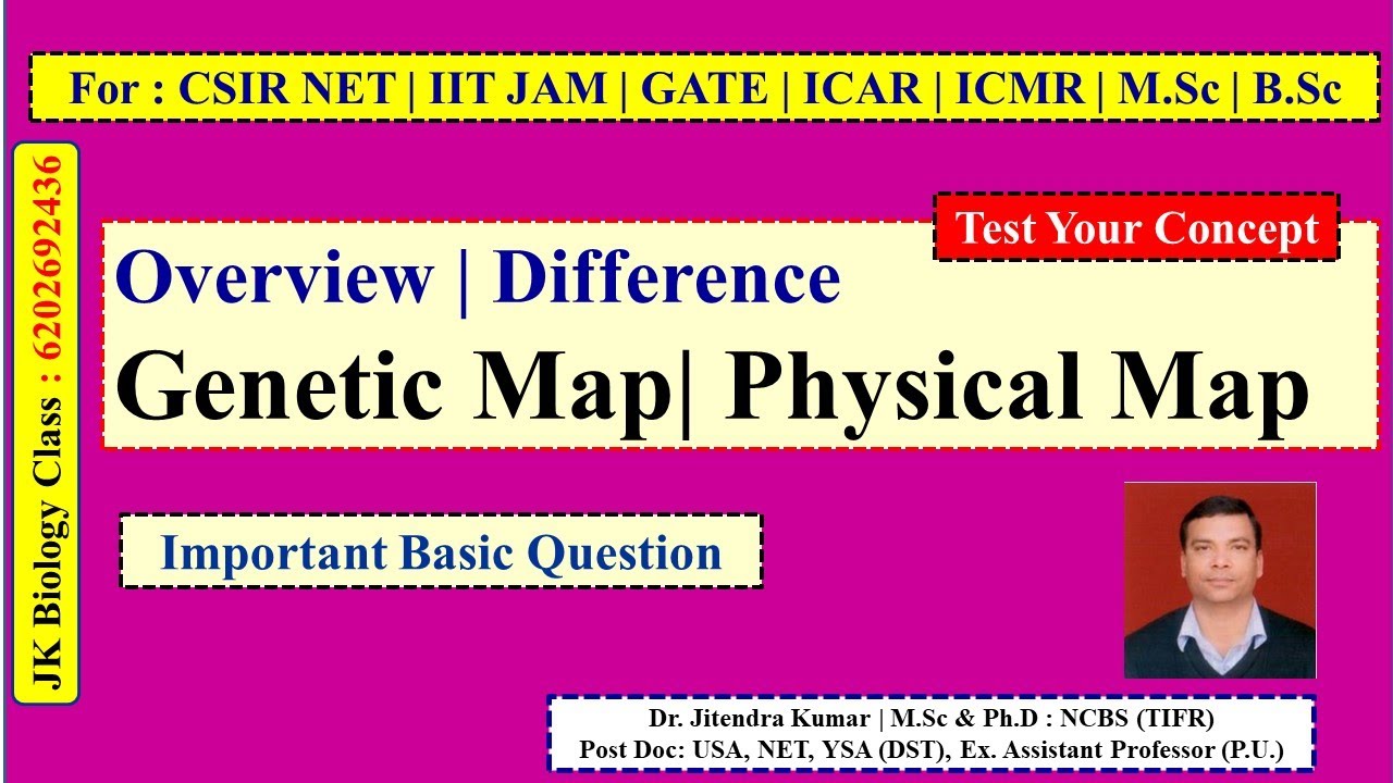 Genetic Map | Physical Map | Draw Genetic Map | Difference Genetic ...