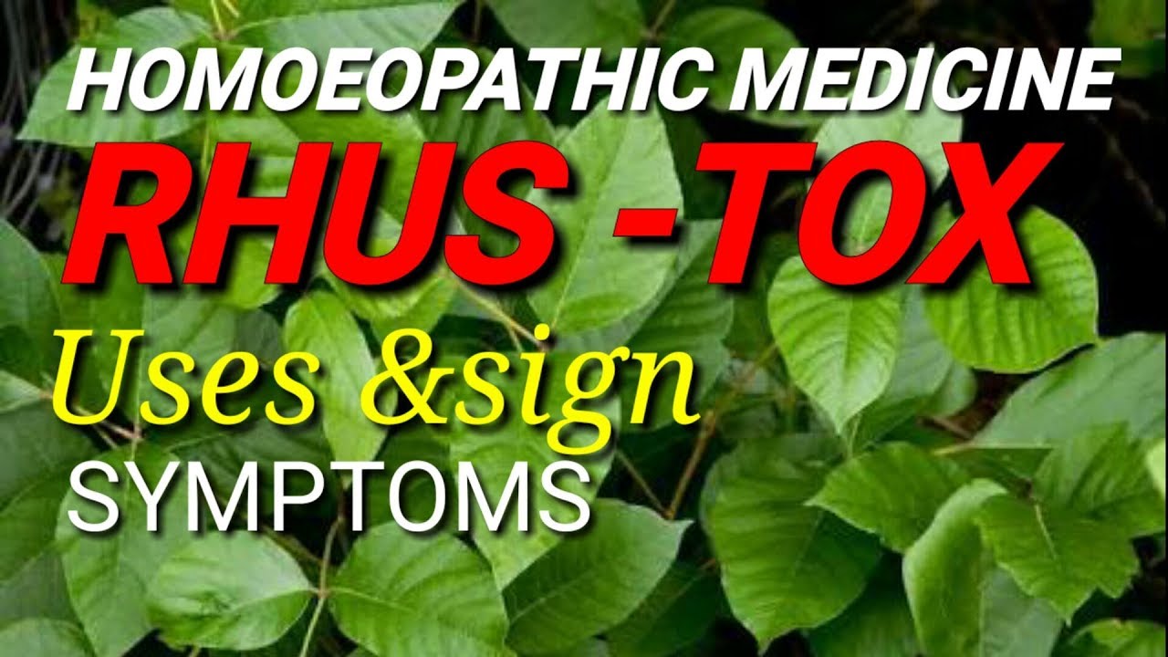 Rhus tox Homoeopathic medicine rhus/rhus tox 30 200 1m Homoeopathy ...