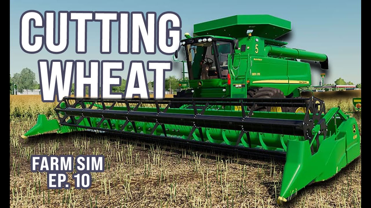 Cutting Our First Wheat Field! | Farm Sim Server Stream - YouTube