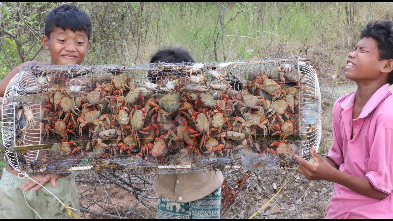Smart Girl Catch A Lot Of Crabs Using Electric Fan Guard With Bamboo ...