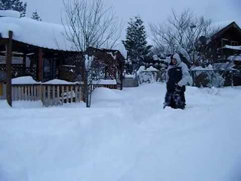 Hiding in the snow - YouTube