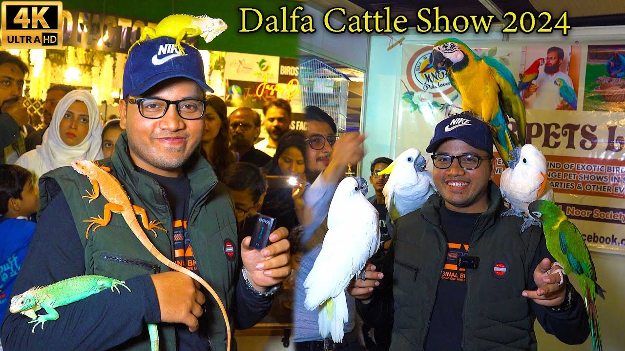 Exotic Bird Parrots and Animals at DALFA Cattle Show 2024 Expo Center Karachi पक्षियों की ...
