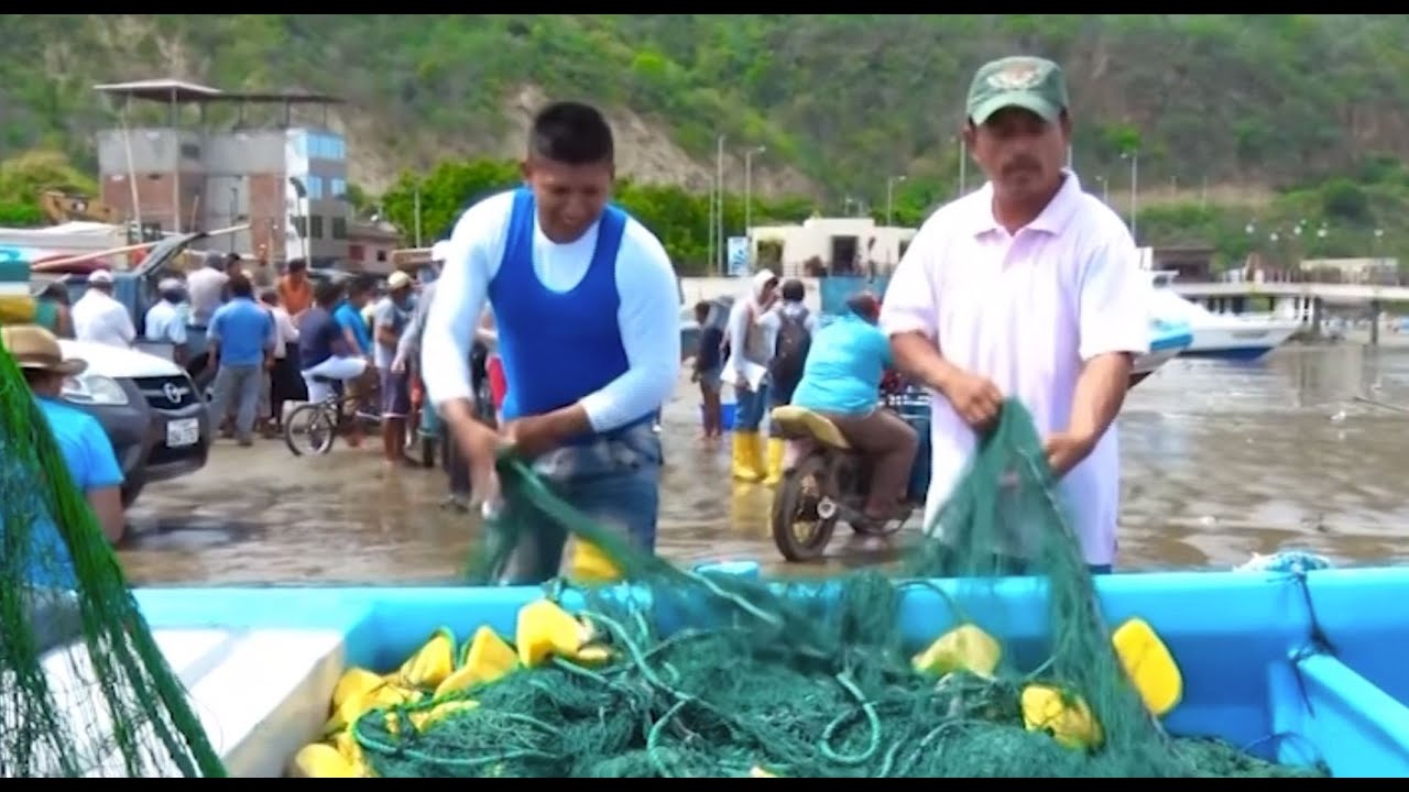 Strengthening Decent Work in the Fishing Sector in Ecuador - YouTube