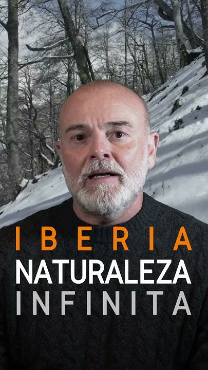 El amenazado urogallo, en IBeRIA NATURALEZA INFINITA #shortsvideo #youtubeshorts #naturaleza ...