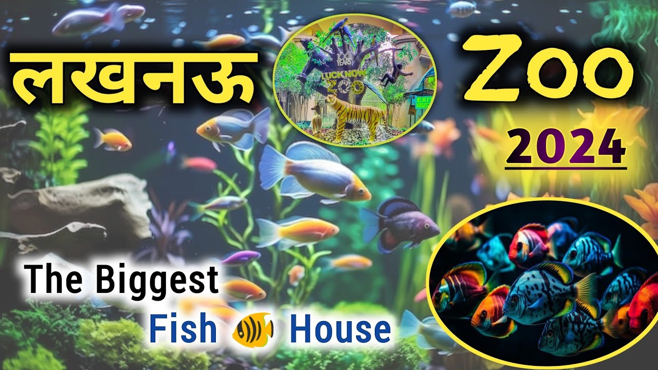 lucknow zoo fish house | लखनऊ चिड़ियाघर |lucknow zoo ticket price 2024 ...