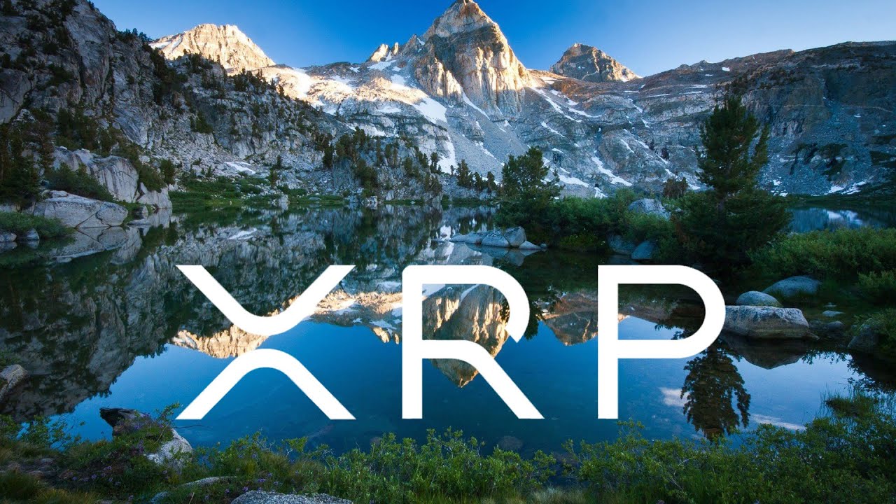 XRP RIPPLE MR POOL TODAY !!!!! - YouTube