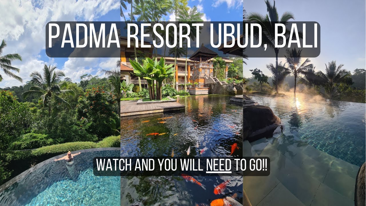 Padma Resort Ubud, Bali. 4k Resort Tour. Escape to your perfect ...
