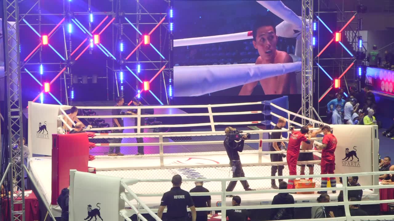 Nanyan Zhang (China) vs Beno Adamia (Georgia). 2017 World MMA ...