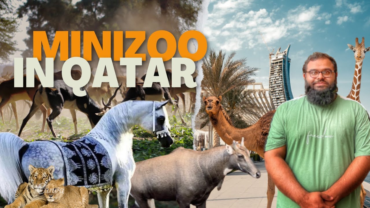 Mini Zoo me kya hua !! | Exploring Qatar's Mini Zoo: A Hidden Gem of ...