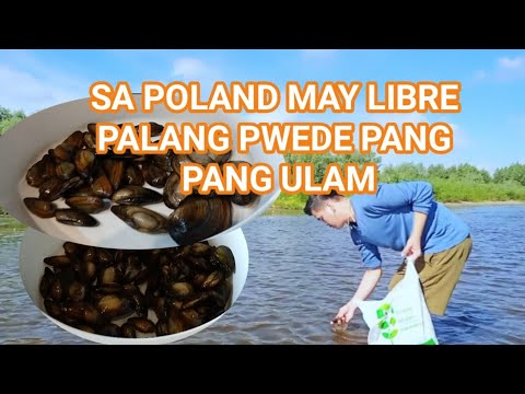 SA POLAND MAY LIBRE PALANG PWEDE PANG ULAM???? @aljdvlogs8026 - YouTube