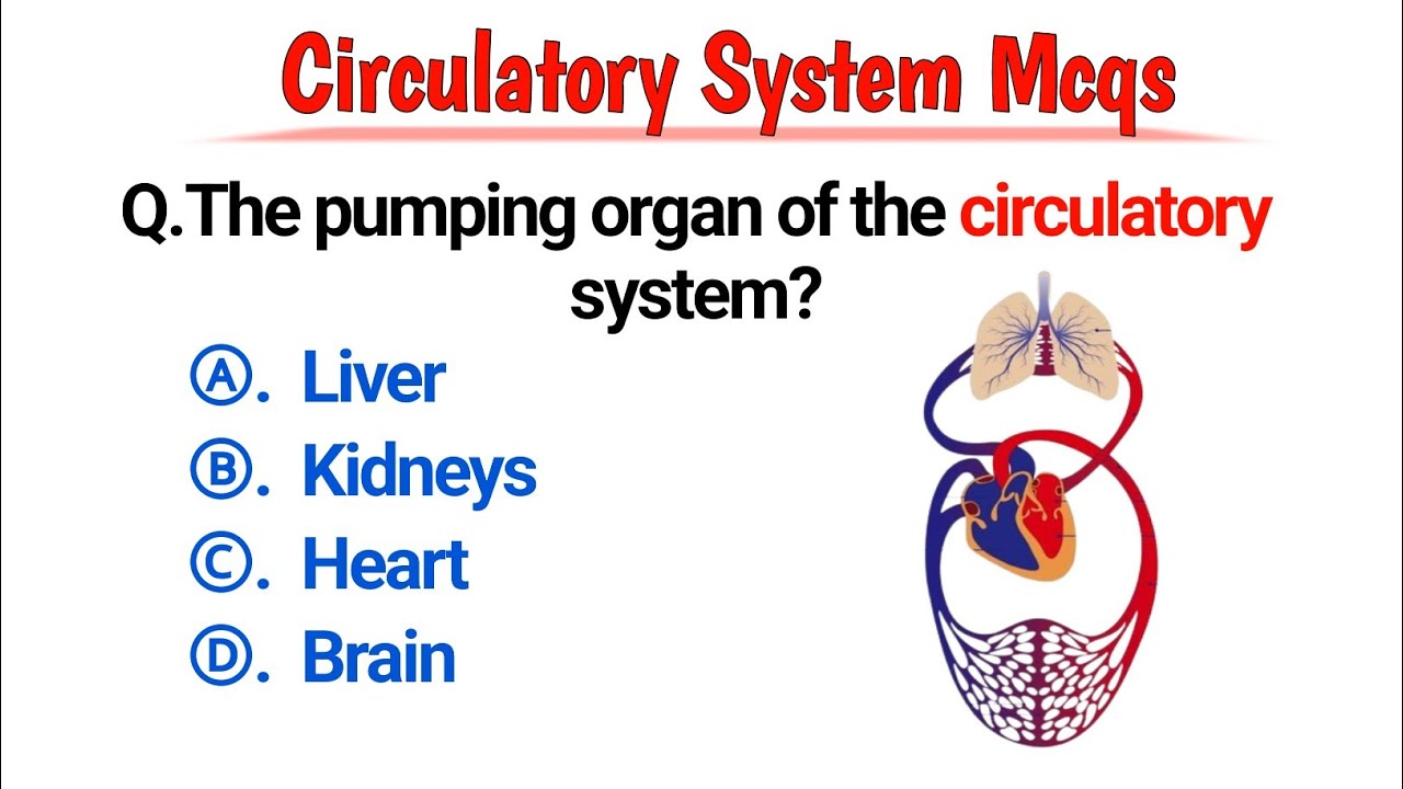 Circulatory System mcq | circulatory system mcq 2024 - YouTube