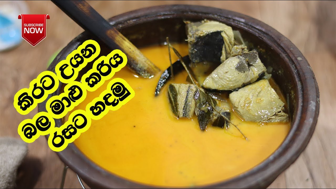 බලයා කිරි මාළු උයමු - How To Make Bala Kiri Malu | Kiri Malu | Balaya ...