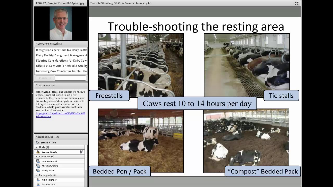 Troubleshooting Design Based Cow Comfort Issues - YouTube